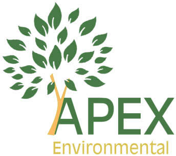 Tree services: reports, inspections & advice by Apex Environmental